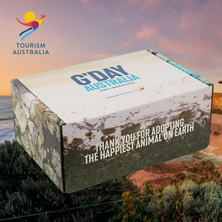 Full Colour Custom Shipping Boxes – Hero Packaging